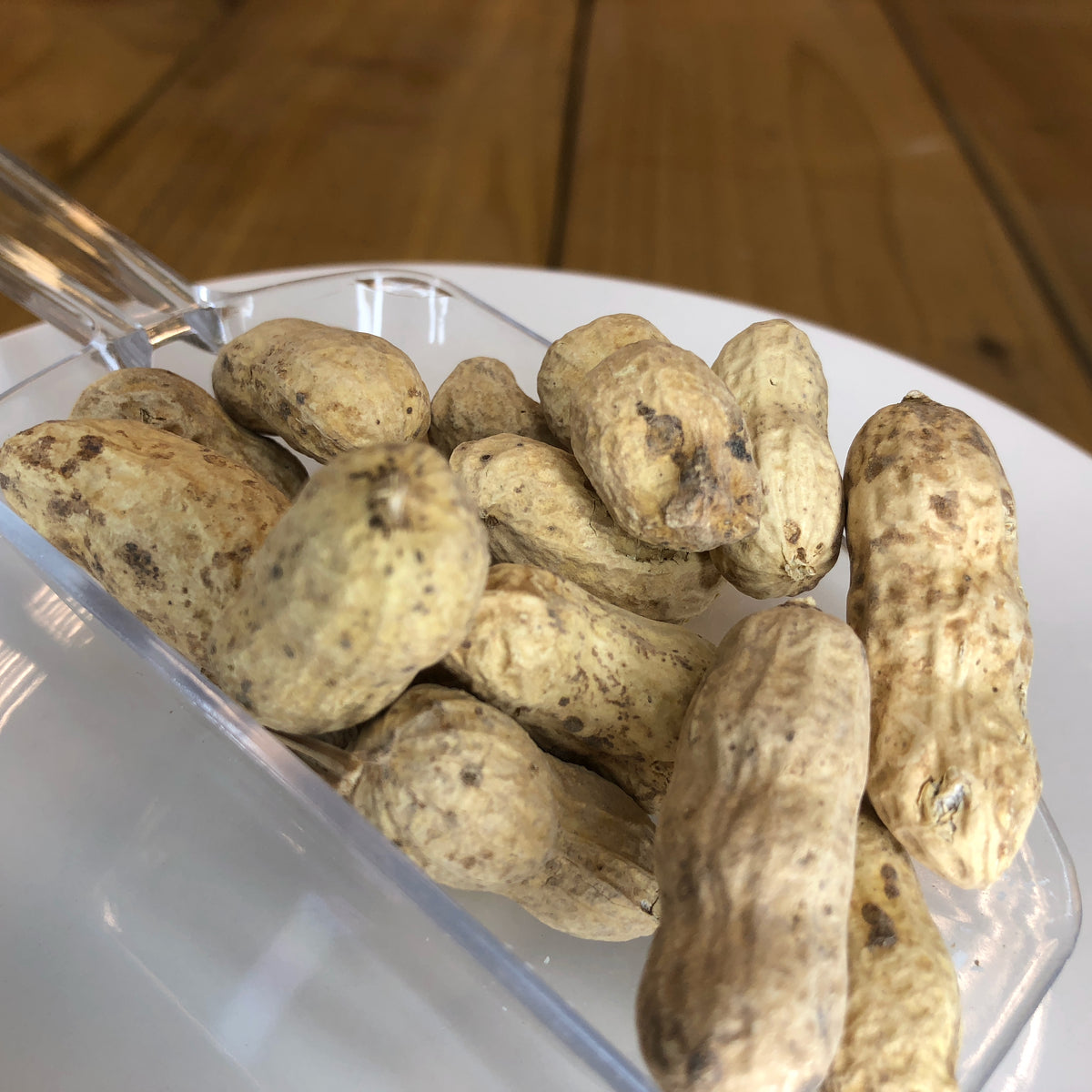 Monkey Nuts In Shell (100g) – Refill Weigh Save